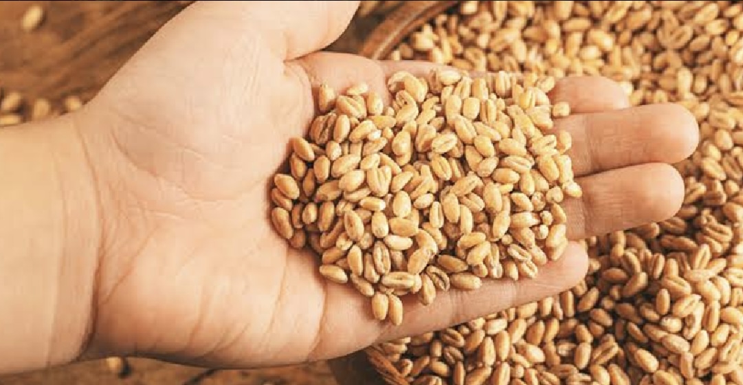 Indian Grains Over Exotic Grains Nmami Life